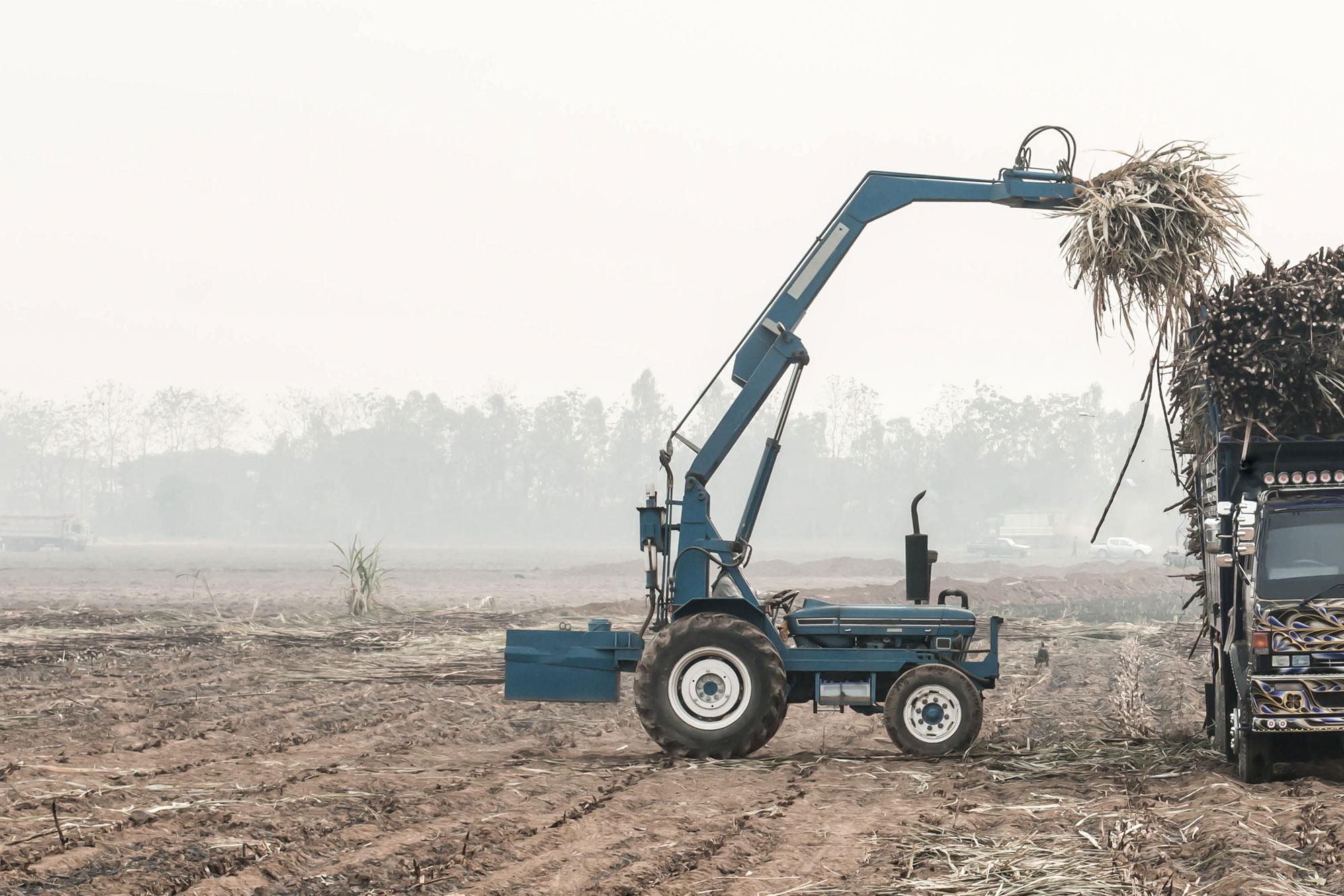 Distributori rotanti per macchine e caricatori agricoli | Bini
