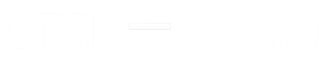 Collettori elettrici e Giunti rotanti per applicazioni industriali | Bini